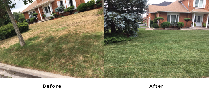 Michael Durham Landscaping > Home